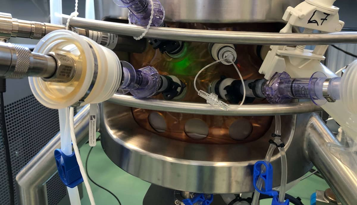 Monitoring the Upstream Process of Cell Culture with Timegated® Raman