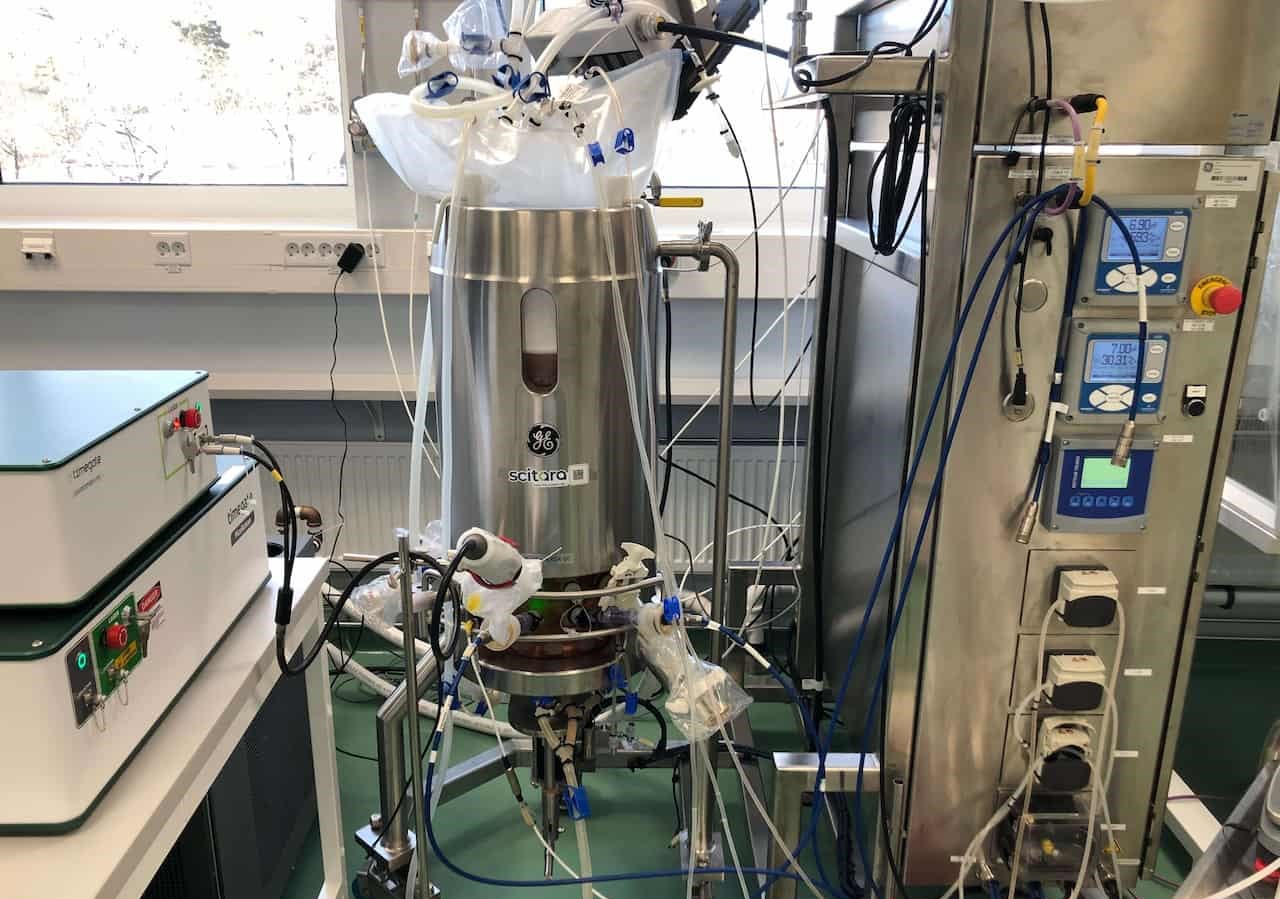Monitoring the upstream process of cell culture by time-gated Raman