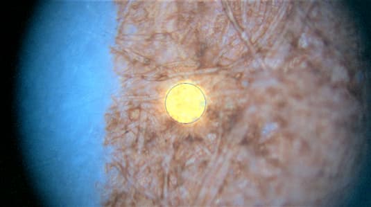 Probe Selection for Time-gated Raman Measurements