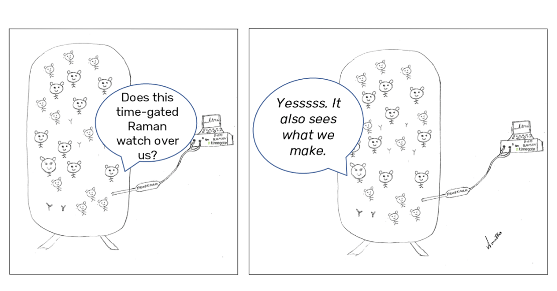 Timegated® Raman is accurately following the bioprocess in Testa Challenge